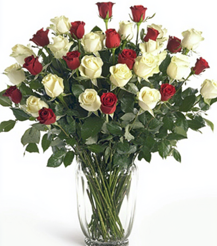 24 White Roses - Sunny Flower Delivery