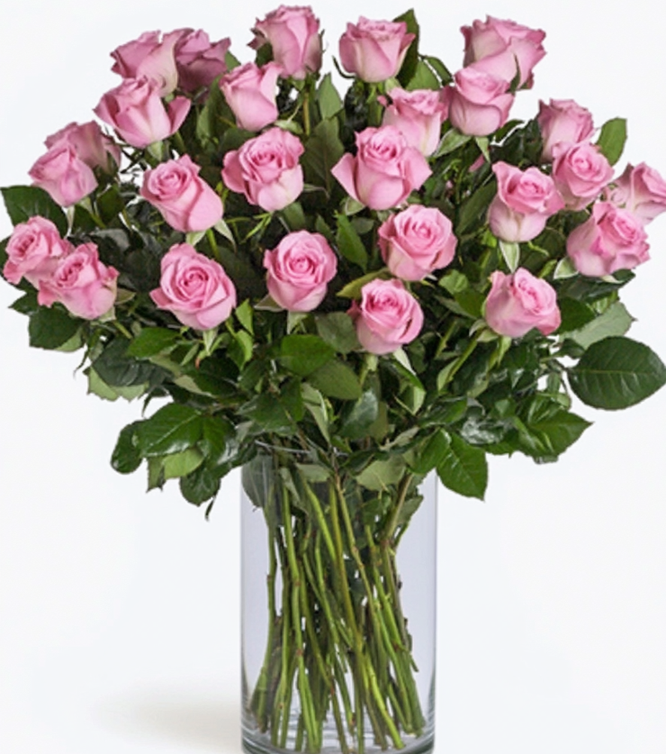 Two Dozen Pink Roses - Sunny Flower Delivery
