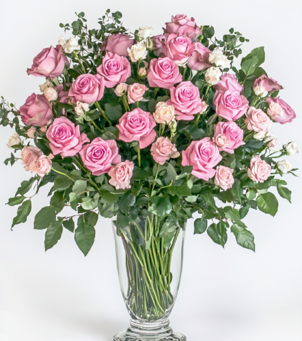 Two Dozen Pink Roses - Sunny Flower Delivery